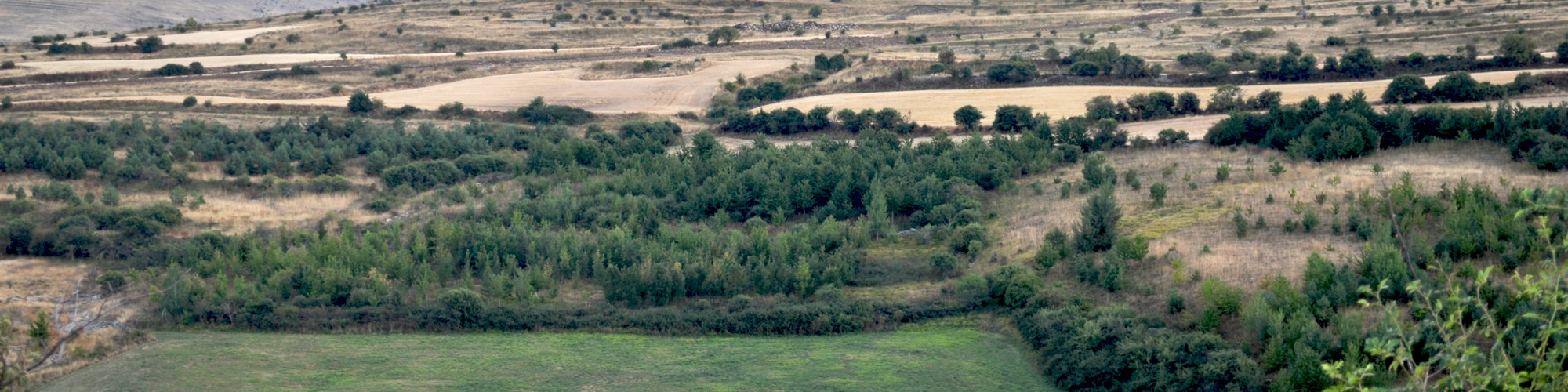 Grupo Operativo Prominifun “Modelos de gestión innovadores para la ...